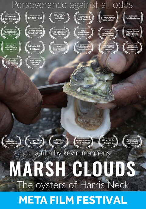 META Film Fest: Marsh Clouds | Now Showing | Book Tickets | VOX Cinemas UAE